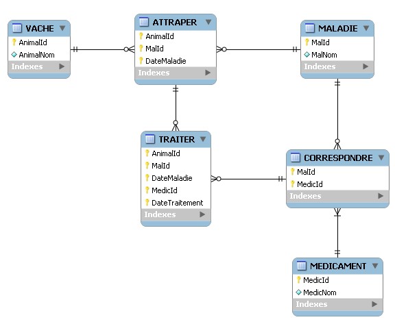 [MCD] Association n-aire, date et cardinalité - Page 2 - Schéma