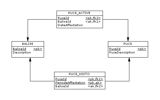 [MCD] hésitation sur cardinalité - Schéma