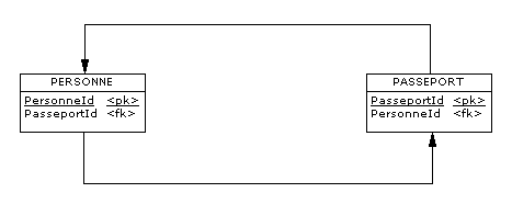 relation 0,1: champs supplémentaires