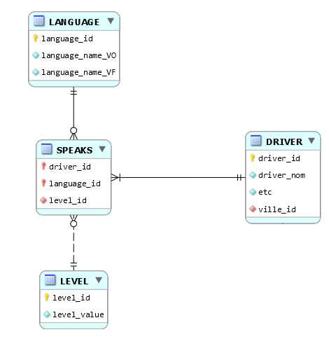 Projet transporteurs Europe - conception BDD - Merise
